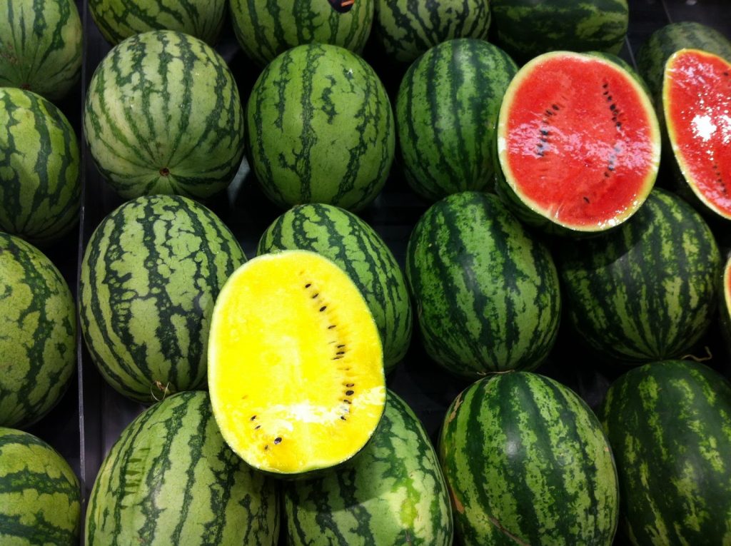 Alles über gelbe Wassermelone: welche Art, was ist es gekreuzt, warum ...