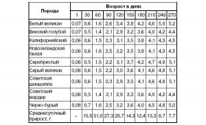 About the weight of rabbits by month - a table of how much different ...